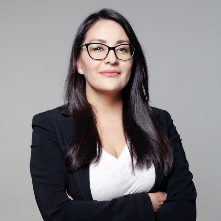 Quiénes Somos AMIVE: Liderando la Electromovilidad en México