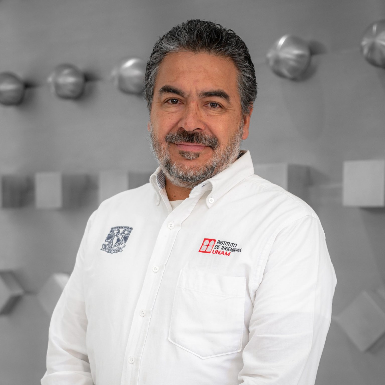 Quiénes Somos AMIVE: Liderando la Electromovilidad en México